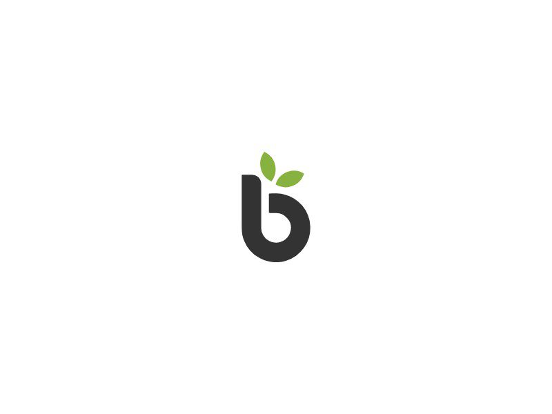 Trusted Asset Finance Solutions | Bloom Financial Services